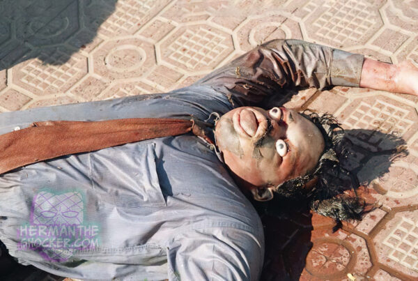 Posts - Herman The Shocker