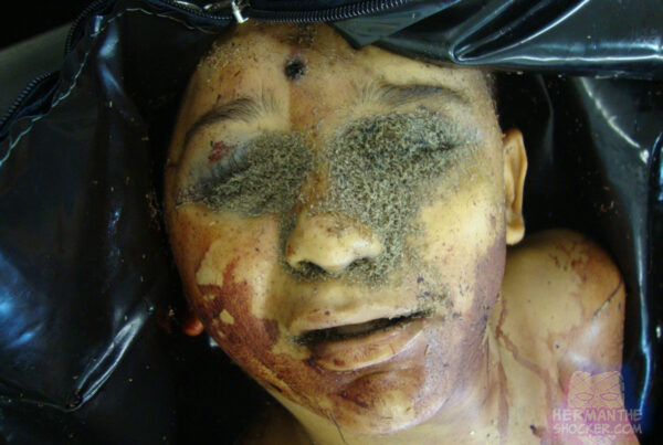 Posts - Herman The Shocker